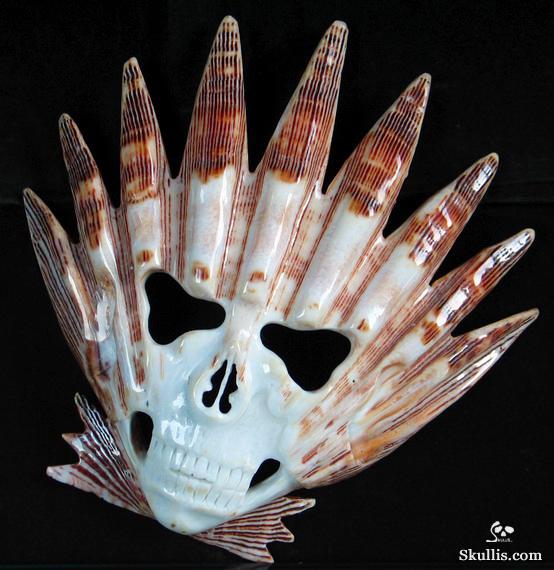 5.3" Scallop Shell Carved Skull Mask - Skullis Gemstone & Crystal Skulls