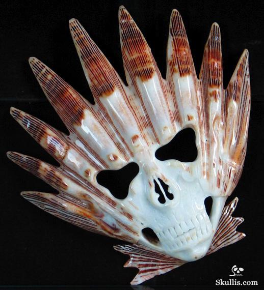 5.3" Scallop Shell Carved Skull Mask - Skullis Gemstone & Crystal Skulls