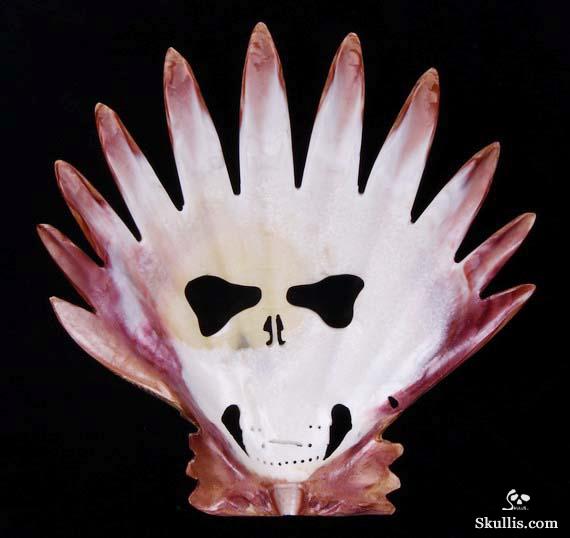 5.2" Shell Carved Skull Mask - Skullis Gemstone & Crystal Skulls