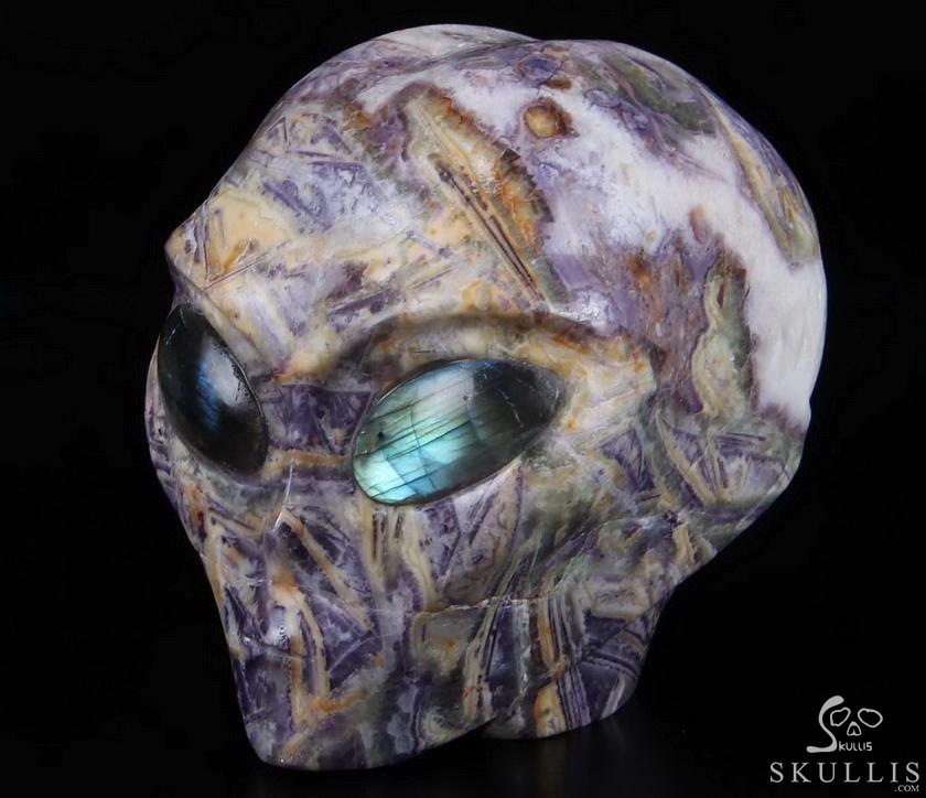 Huge 4.3" Bamboo Leaves Agate Star Being Female Alien Crystal Skull ...