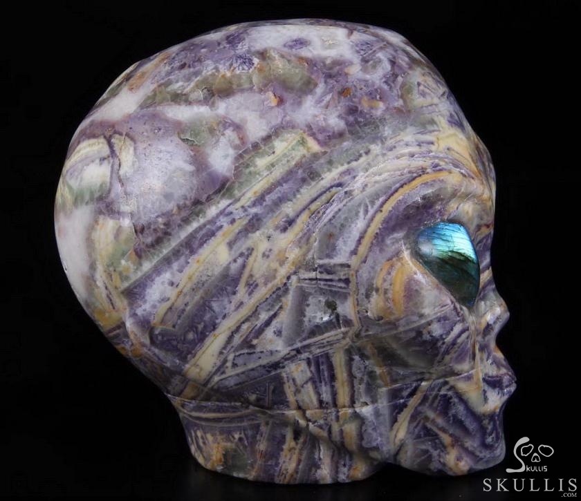 Huge 4.3" Bamboo Leaves Agate Star Being Female Alien Crystal Skull ...