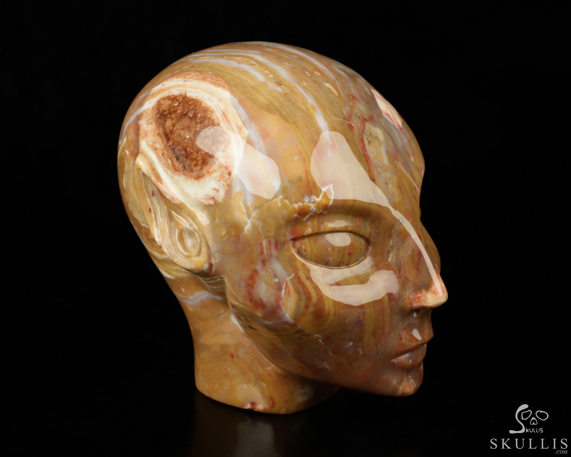 4.2" Petrified Wood Carved Fairy Elf Alien Crystal Skull Companion ...