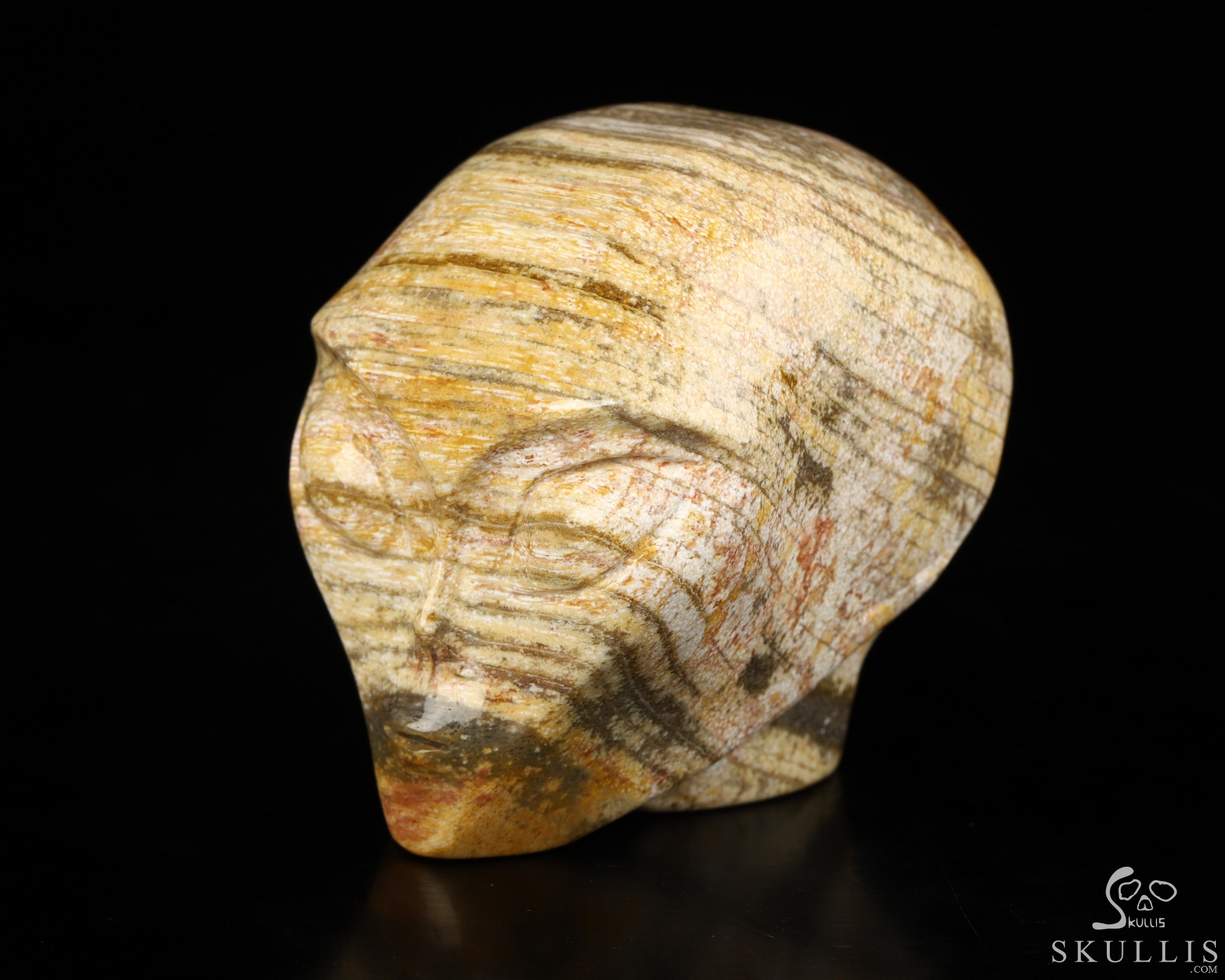 2.0" Petrified Wood Crystal Skull Companion Star Being Female Alien ...