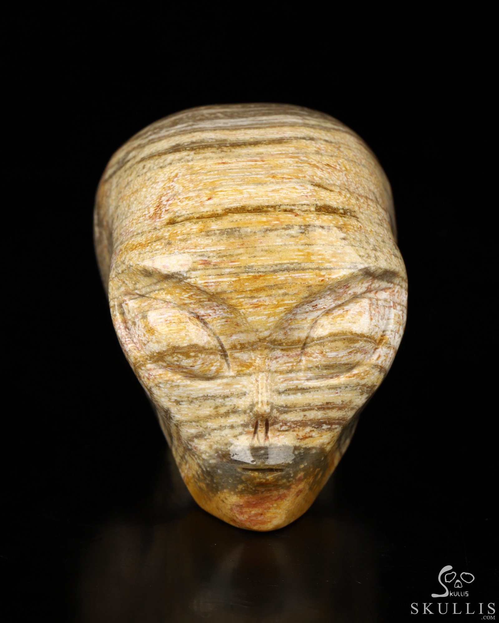 2.0" Petrified Wood Crystal Skull Companion Star Being Female Alien ...