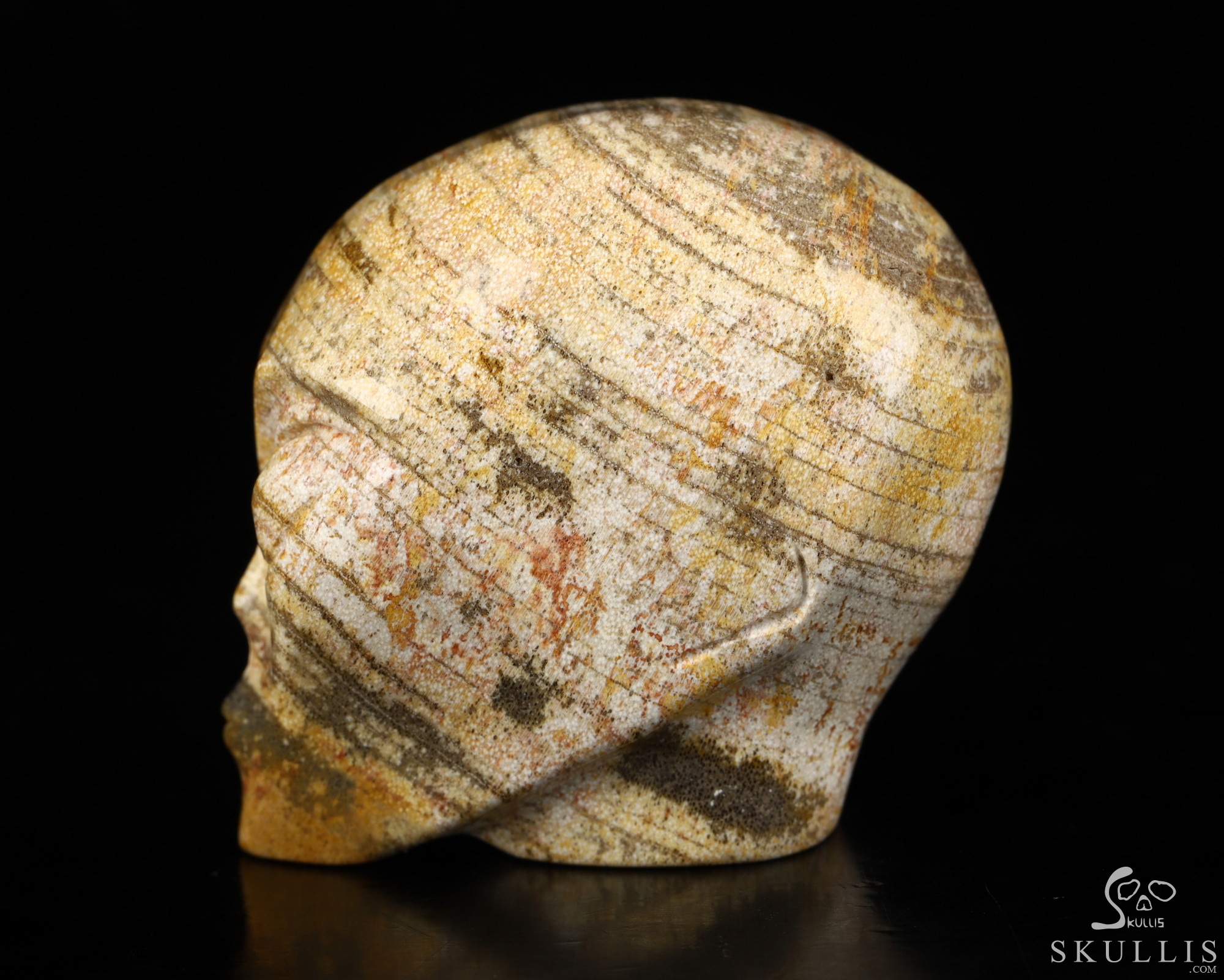 2.0" Petrified Wood Crystal Skull Companion Star Being Female Alien ...