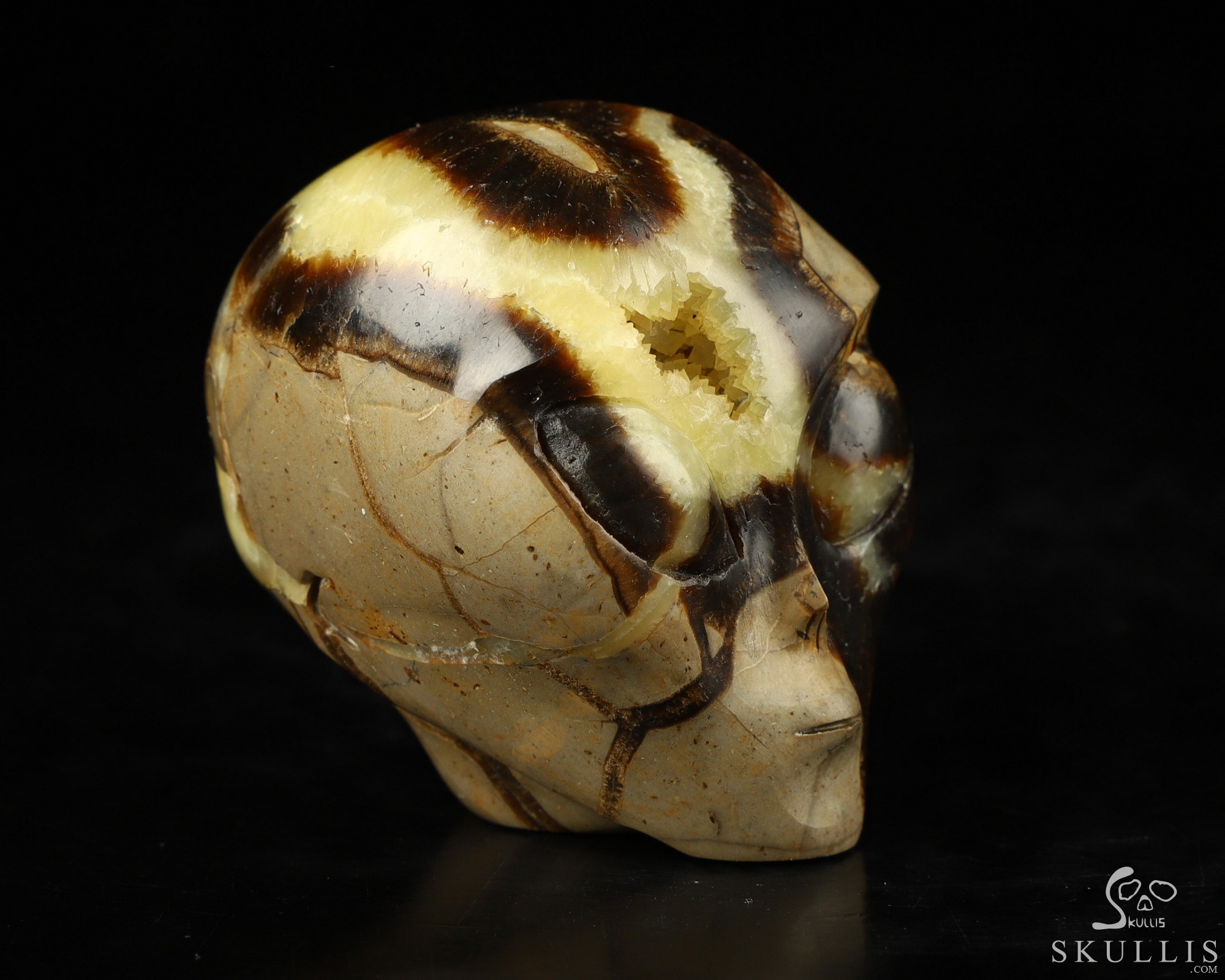 1.8" Dragon Septarian Stone Geode Crystal Skull Companion Star Being ...
