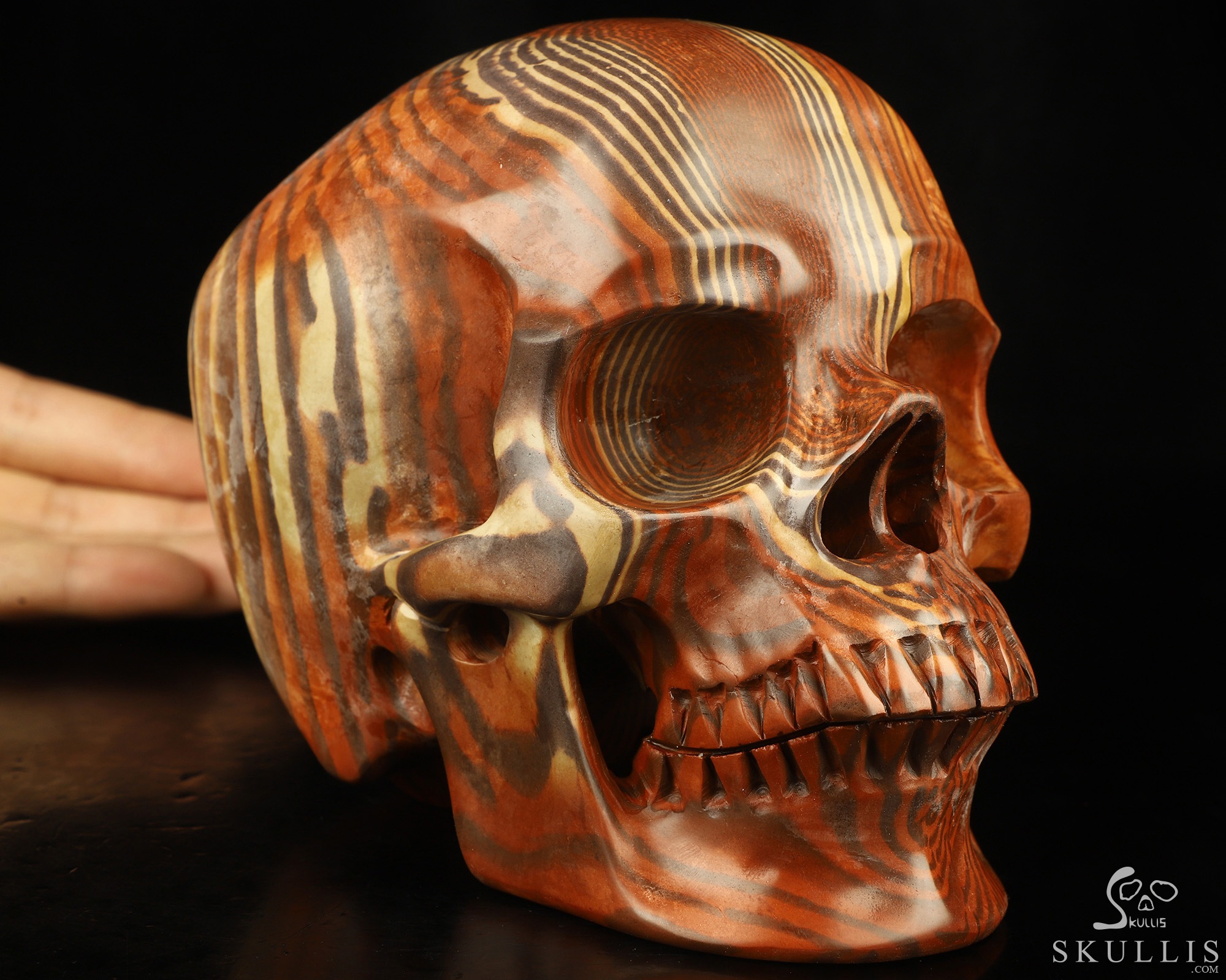 Super Realistic! Lifesized 6.1" Australian Print Stone Hand Carved ...