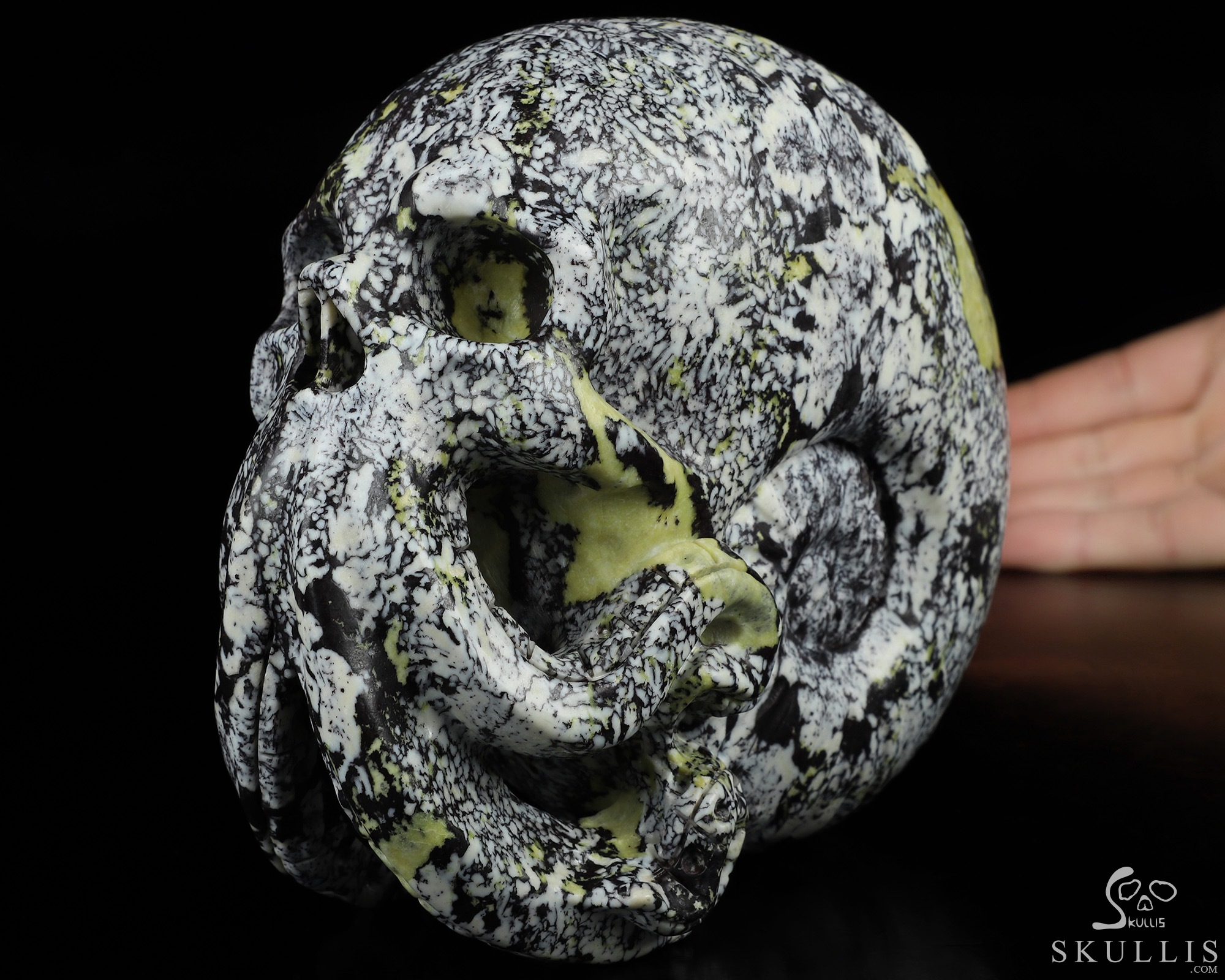 5.7" Korea Hiso Hand Carved Nautiloid Cthulhu Crystal Skull Sculpture ...