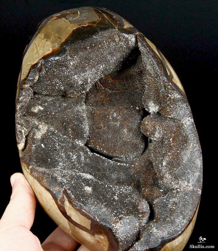 Amazing Giant 9.1" Dragon Septarian Stone Carved Crystal Skull ...