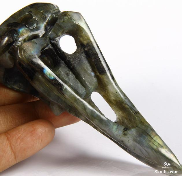 Huge 4.6" Labradorite Carved Crystal Raven Skull - Skullis Gemstone ...