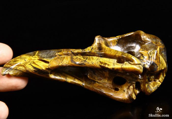 Gemstone Huge 4.6" Gold Tiger Eye Carved Crystal Raven Skull - Skullis ...