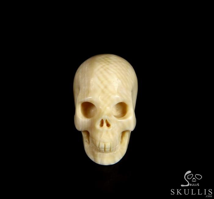 0.7" Fossil Ivory Carved Crystal Skull, Realistic - Skullis Gemstone ...