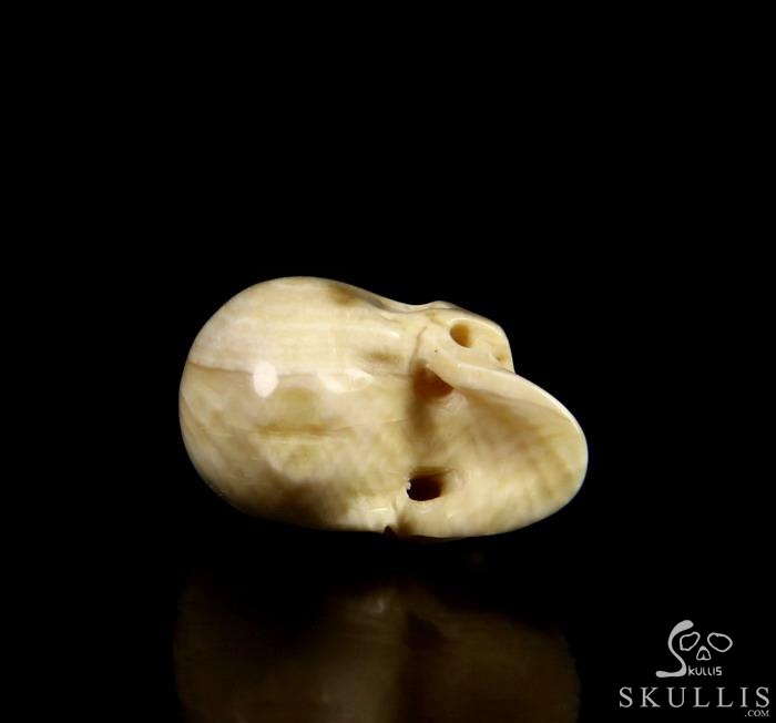 0.7" Fossil Ivory Carved Crystal Skull, Realistic - Skullis Gemstone ...