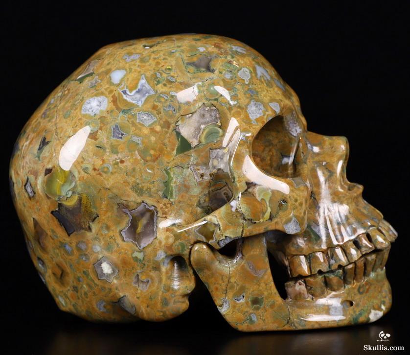 Huge 5.4" Rainforest Jasper Carved Crystal Skull, Super Realistic ...