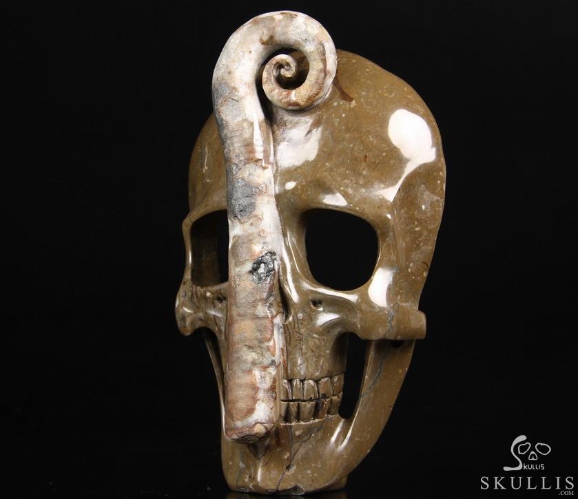 Huge 5.0" Lituites Carved Crystal Skull - Skullis Gemstone & Crystal Skulls