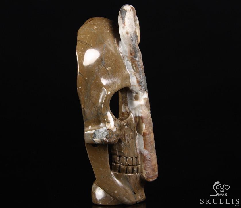 Huge 5.0" Lituites Carved Crystal Skull - Skullis Gemstone & Crystal Skulls
