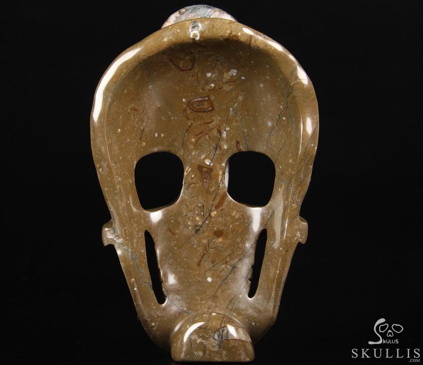 Huge 5.0" Lituites Carved Crystal Skull - Skullis Gemstone & Crystal Skulls