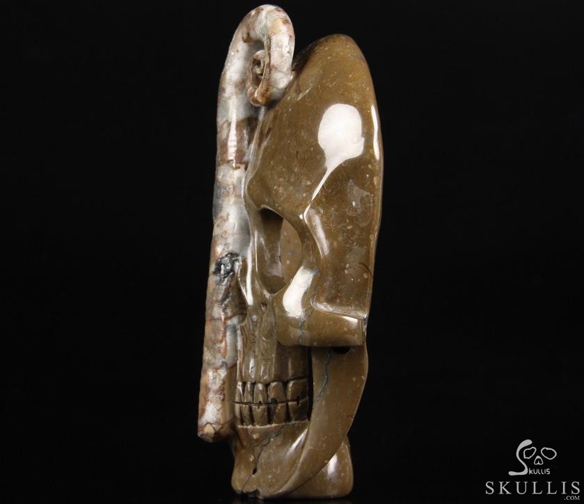 Huge 5.0" Lituites Carved Crystal Skull - Skullis Gemstone & Crystal Skulls