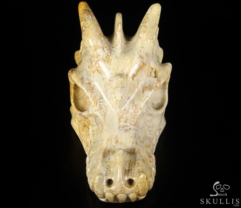 4.7" Coral Fossil Carved Dragon Skull, Realistic, Healing - Skullis ...