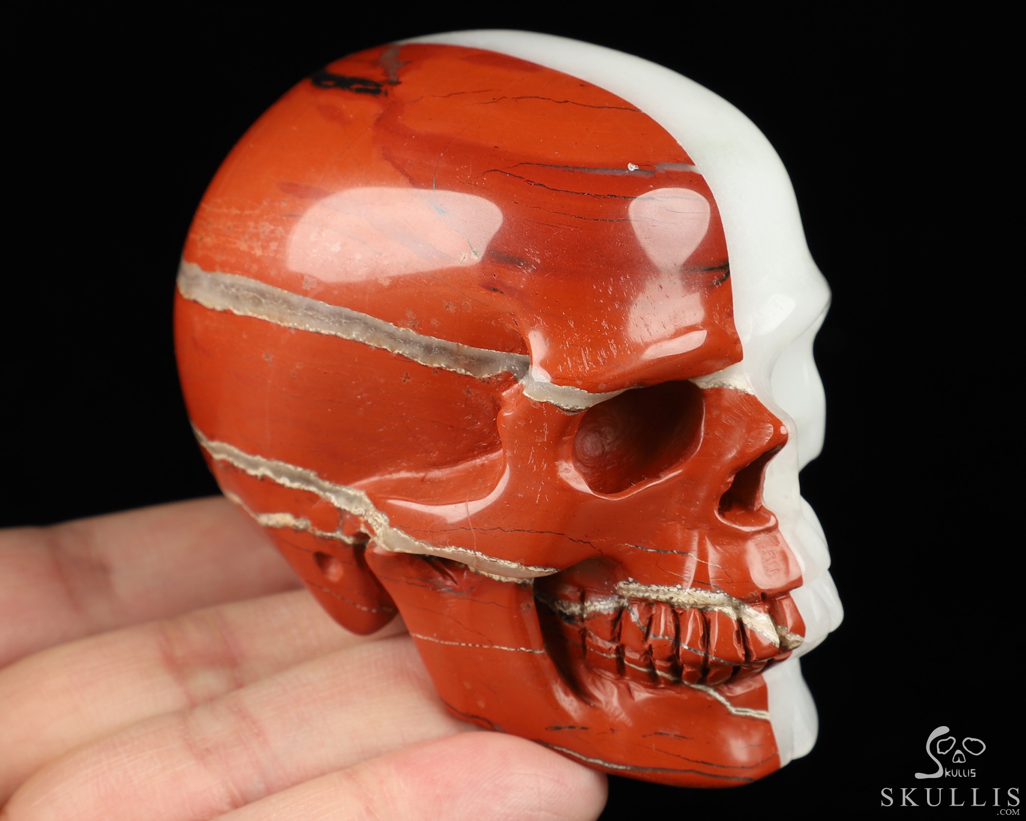 3.0" Red & White Carved Crystal Skull, Realistic - Skullis Gemstone ...