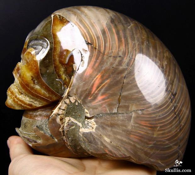 AMAZING FLASH HUGE GEODE 5.4" Ammonite Fossil Carved Crystal Alien ...