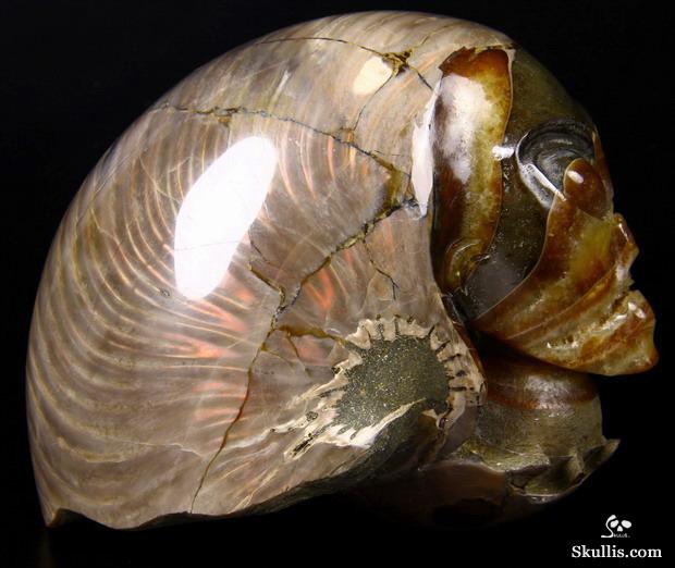 AMAZING FLASH HUGE GEODE 5.4" Ammonite Fossil Carved Crystal Alien ...