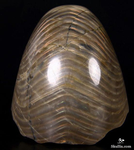 AMAZING FLASH HUGE GEODE 5.4" Ammonite Fossil Carved Crystal Alien ...