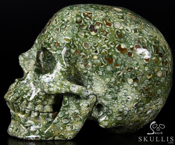 Lifesized 7.2" Rainforest Jasper Carved Crystal Skull, Super Realistic ...