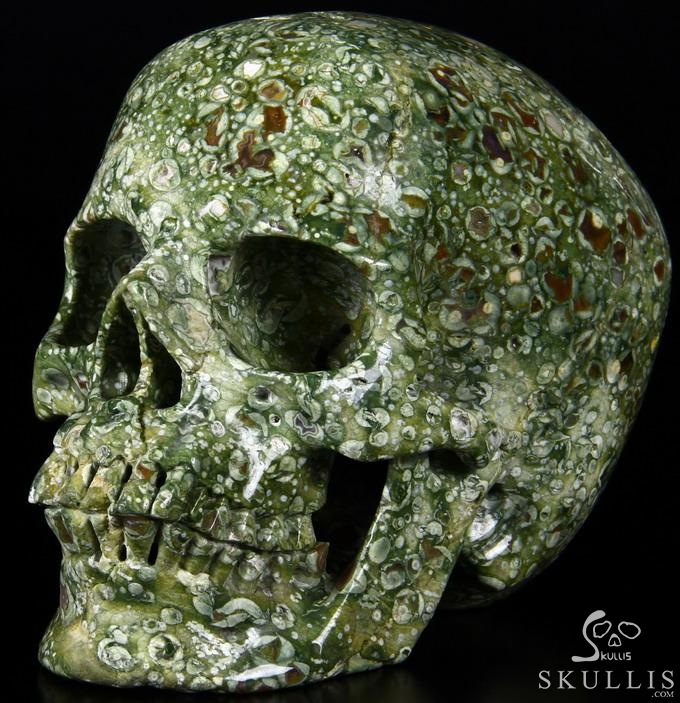 Lifesized 7.2" Rainforest Jasper Carved Crystal Skull, Super Realistic ...