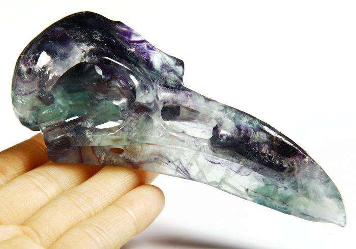Huge 4.6" Fluorite Carved Crystal Raven Skull - Skullis Gemstone ...