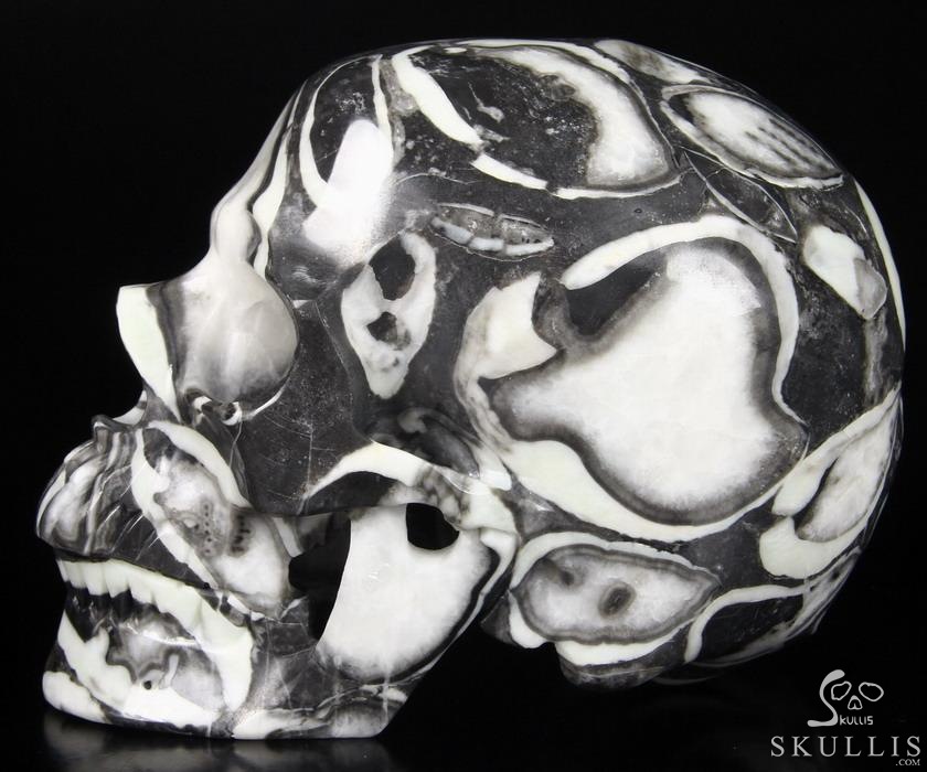 Lifesized 7.4" Rare Fossil Carved Crystal Skull, Super Realistic ...