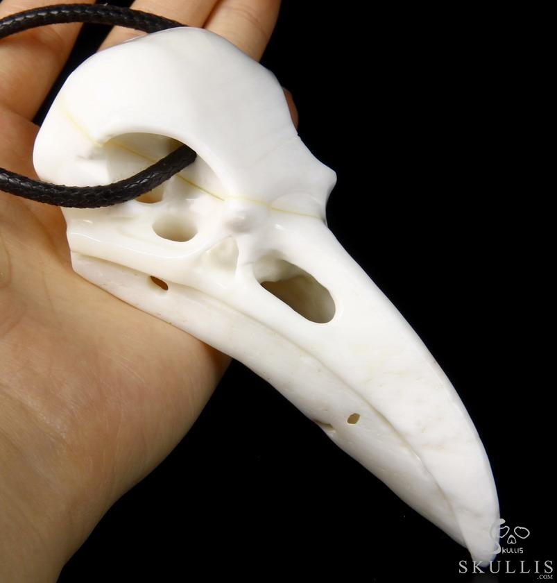 Tridacna Gigas Carved Crystal Raven Skull - Skullis Gemstone & Crystal ...