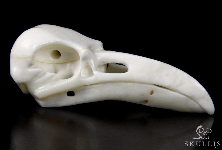 Tridacna Gigas Carved Crystal Raven Skull - Skullis Gemstone & Crystal ...
