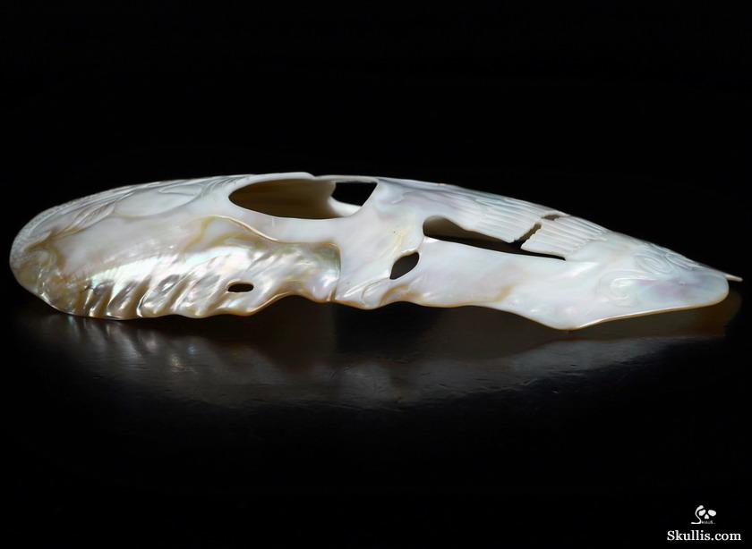 8.8" Shell Carved Skull Mask - Skullis Gemstone & Crystal Skulls