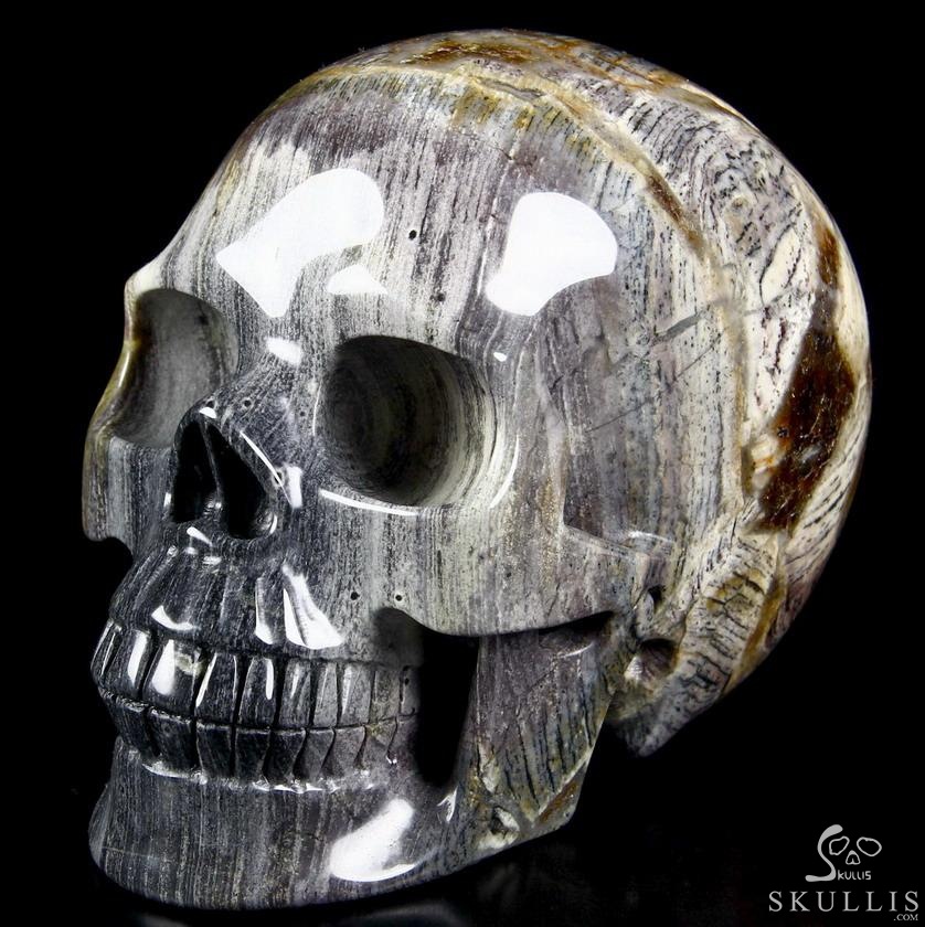 Huge 5.1" Unkown Stone Carved Crystal Skull, Realistic - Skullis ...