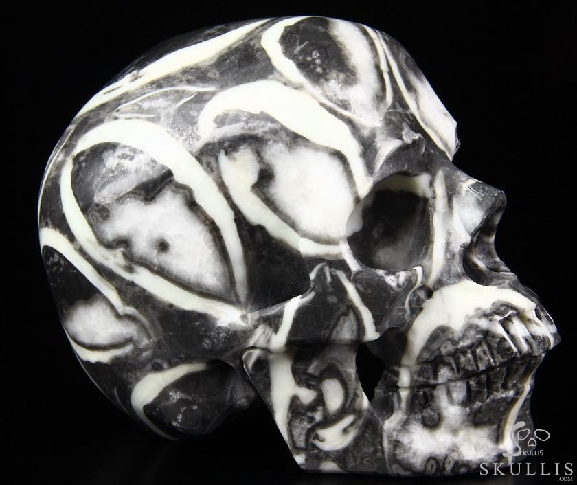 Huge 5.2" Rare Fossil Carved Crystal Skull, Super Realistic - Skullis ...
