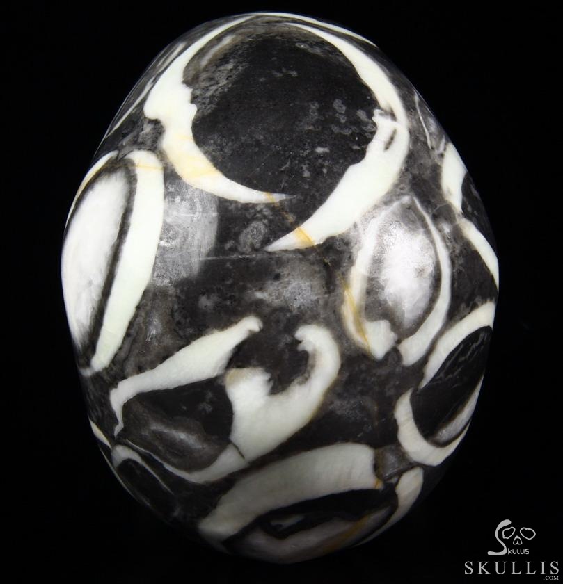 Huge 5.2" Rare Fossil Carved Crystal Skull, Super Realistic - Skullis ...