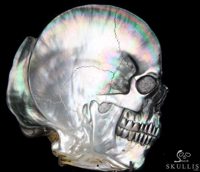 Huge 4.5" Black Pearl Shell Carved Crystal Skull - Skullis Gemstone ...