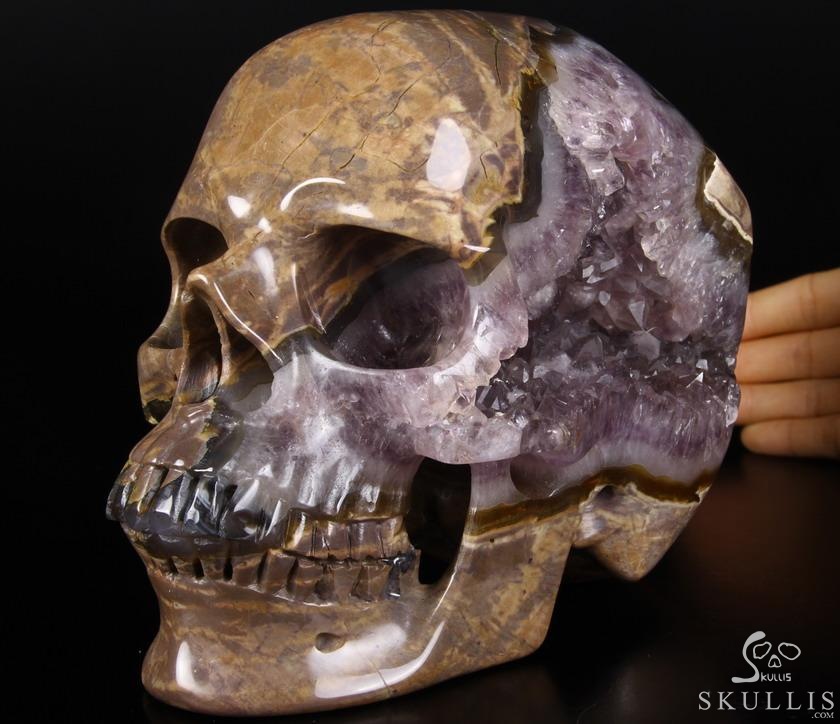 Amethyst Geode Lifesized 7.6" Dinosaur Egg Agate Carved Crystal Skull ...