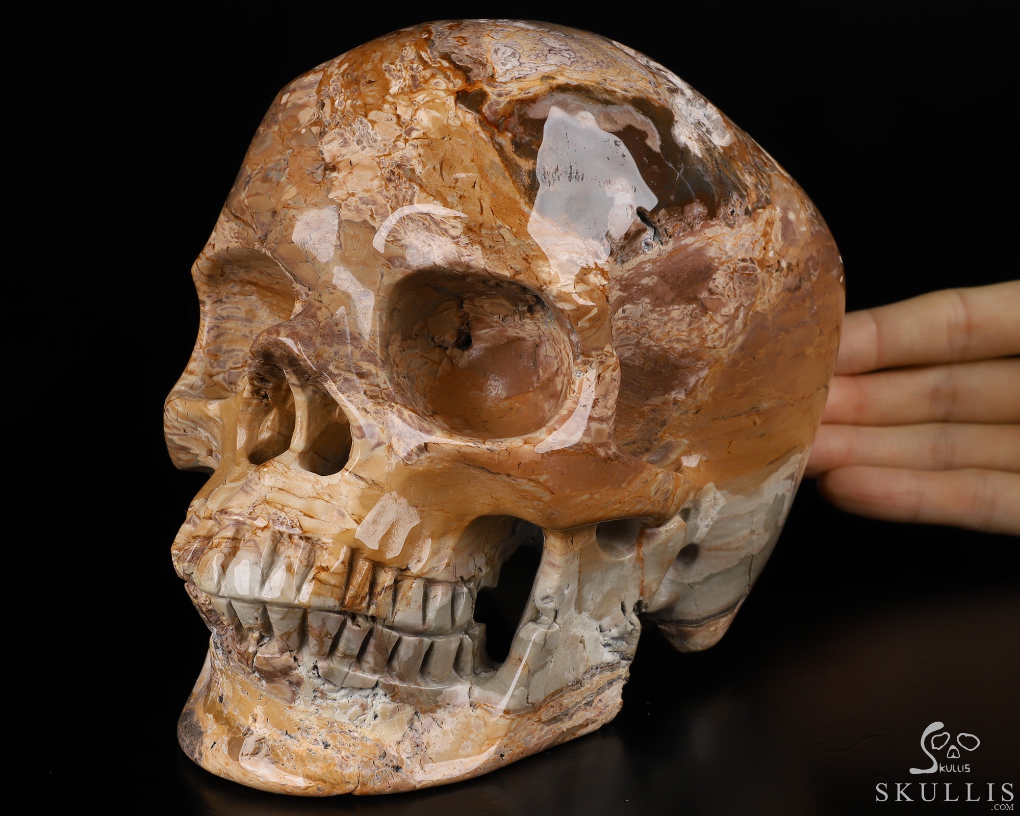 Lifesized 7.0" Australia Picture Jasper Carved Crystal Skull,Super ...