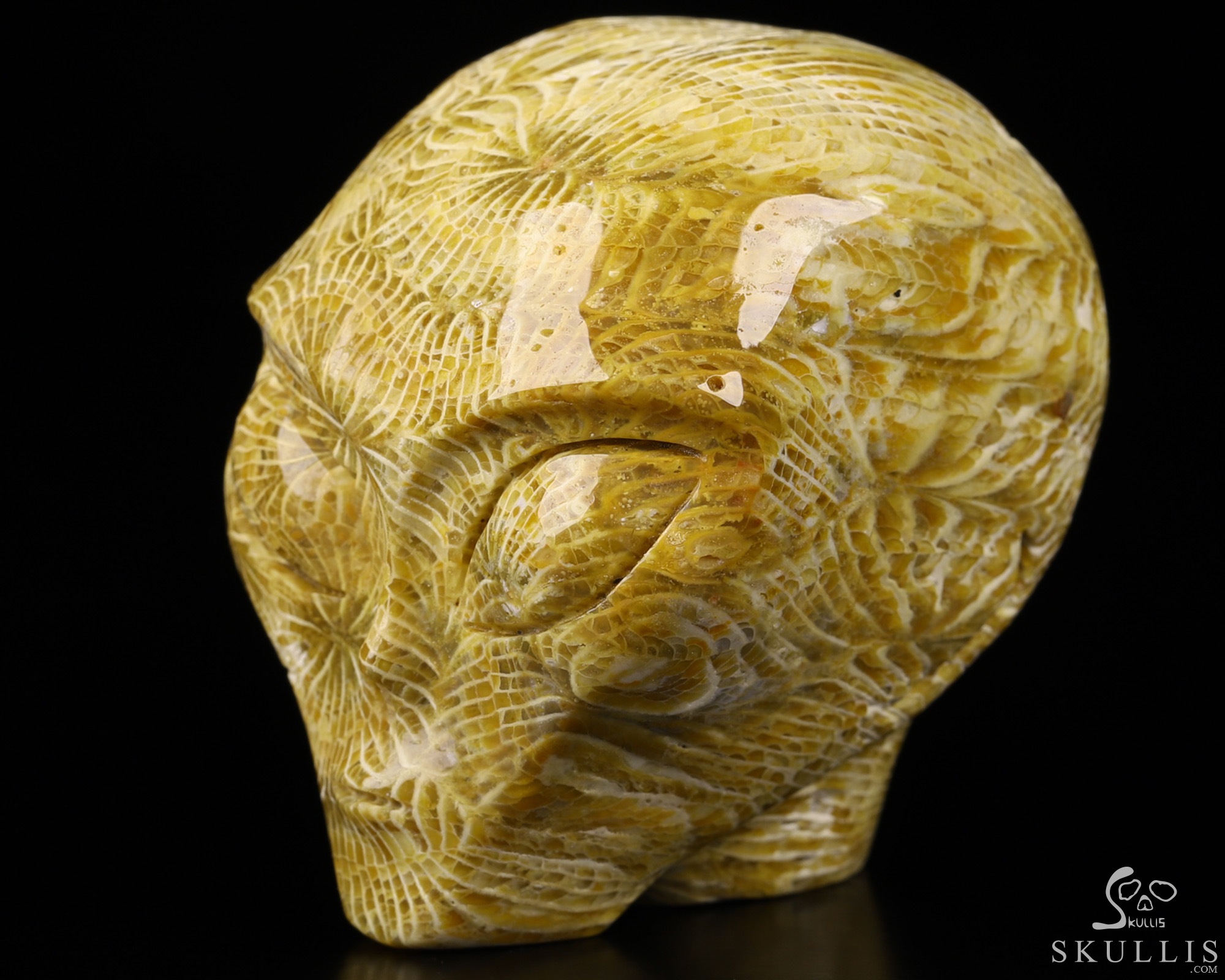 2.0" Coral Fossil Star Being Female Alien Crystal Skull Companion With ...