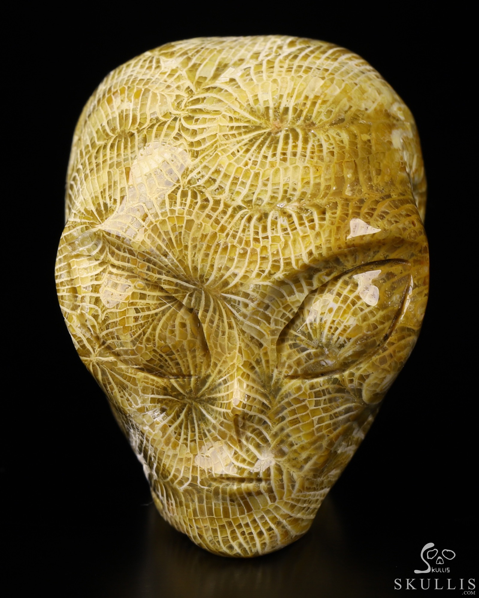 2.0" Coral Fossil Star Being Female Alien Crystal Skull Companion With ...