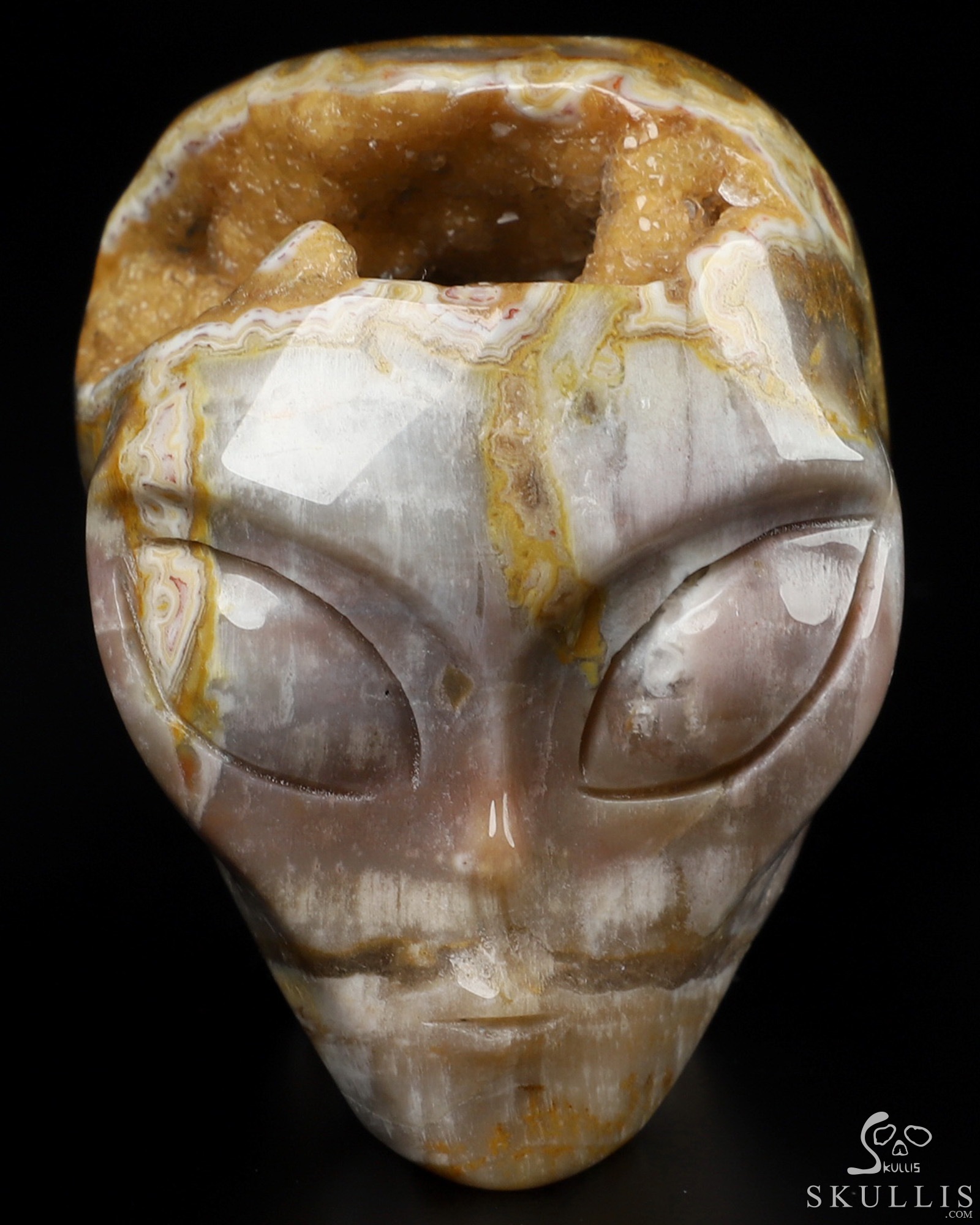 2.0" Petrified Wood Geode Star Being Female Alien Crystal Skull ...