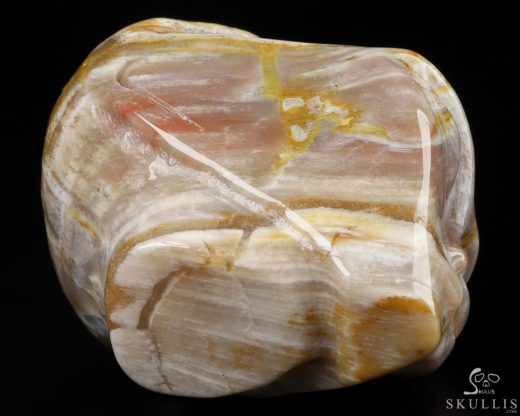 2.0" Petrified Wood Geode Star Being Female Alien Crystal Skull ...