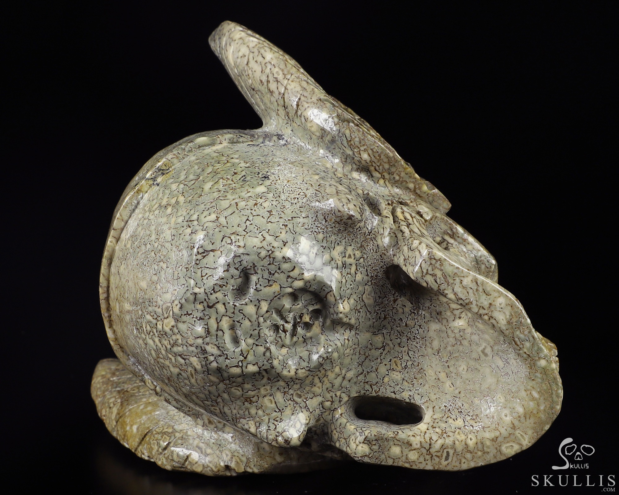 4.3" Dinosaur Sauropoda Fossil Hand Carved Guardian Crystal Skull ...