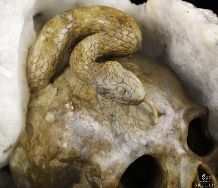 Original 9.6" Quartz Rock Crystal Druse Carved Crystal Skull & Snake ...