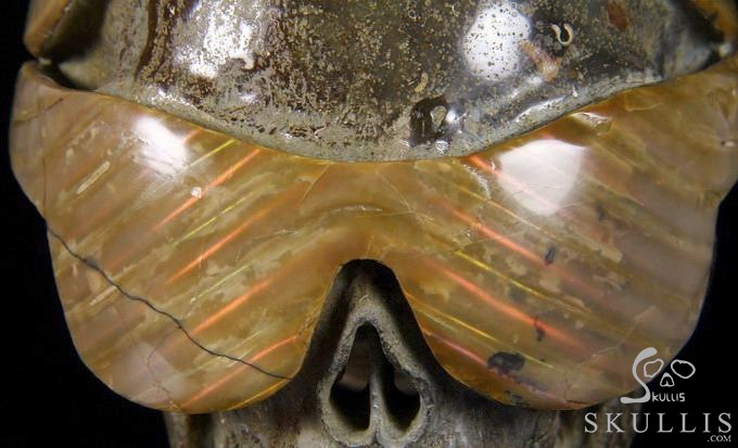 Aug 16, 2014 ACSAD (A Crystal Skull a Day) - The Witness - Ammonite ...