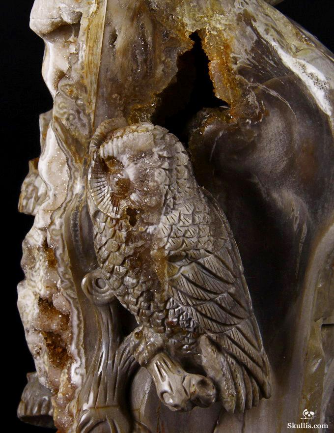 Feb 12, 2015 ACSAD (A Crystal Skull a Day) - Wisdom Through Experience ...