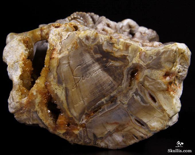 Feb 12, 2015 ACSAD (A Crystal Skull a Day) - Wisdom Through Experience ...