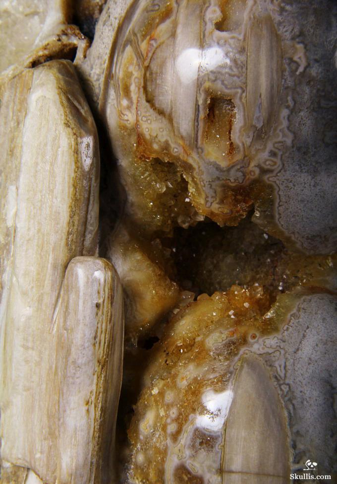 Feb 12, 2015 ACSAD (A Crystal Skull a Day) - Wisdom Through Experience ...